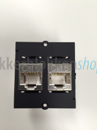 Bachmann custom module met 2x CAT6 RJ45 keystone